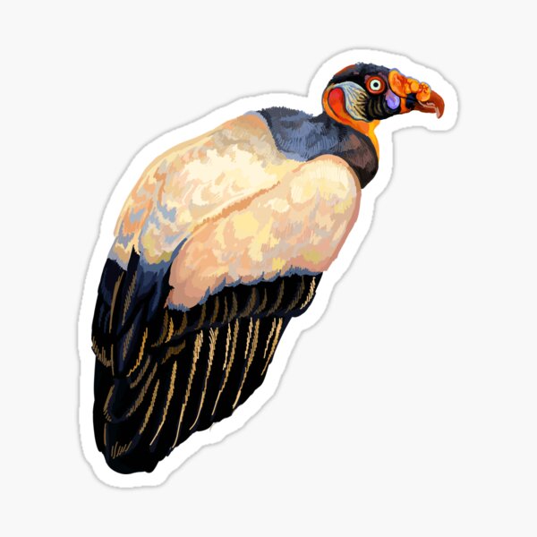 Vulture Stickers | Redbubble