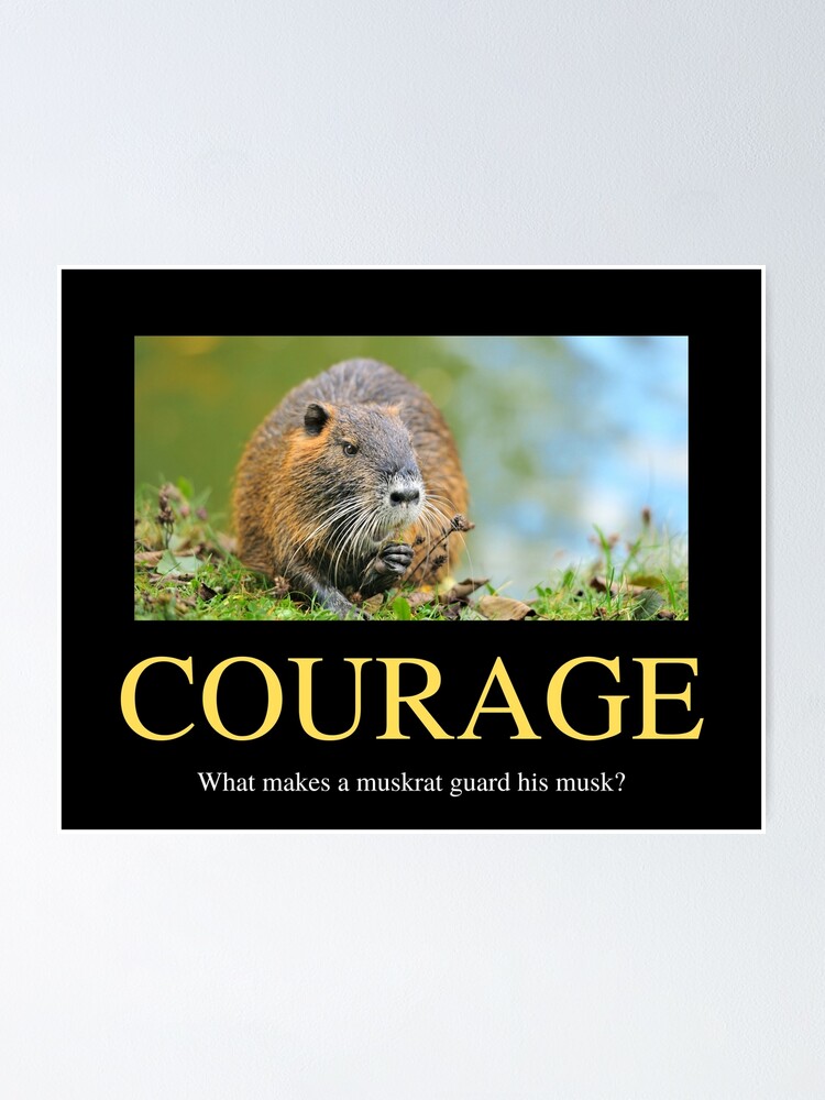 "Courage - Motivational Poster - Funny" Poster for Sale by Banjoseph ...