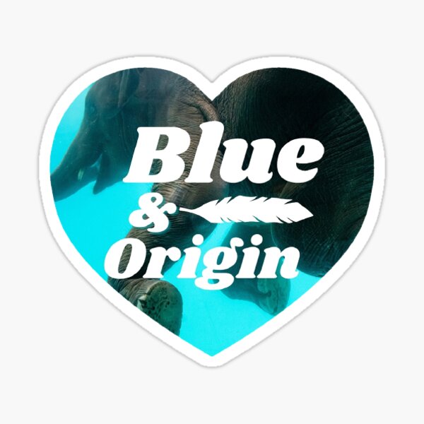 "Blue Origin" Sticker for Sale by MohammedMino | Redbubble
