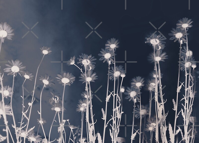 "Daisy Flowers in Moonlight Dark Floral Abstract" by tanjica | Redbubble