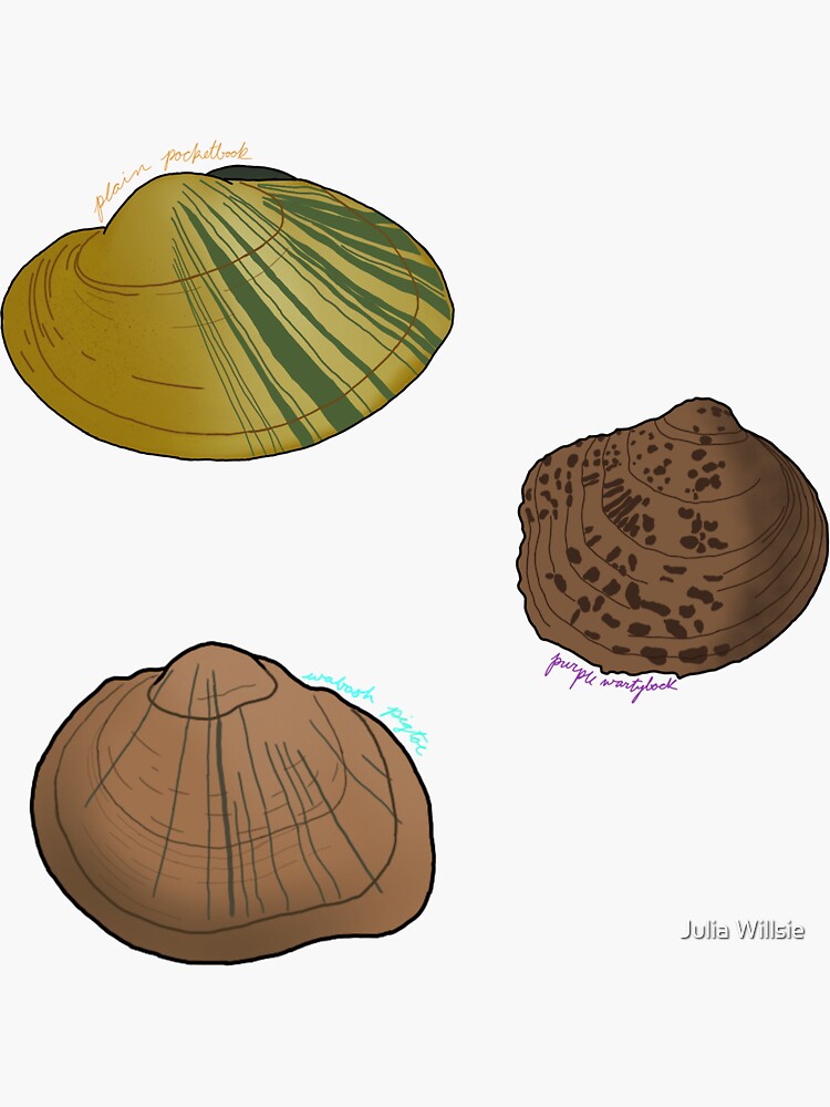 "Freshwater Mussel Pack" Sticker for Sale by willsiej | Redbubble
