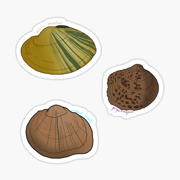 "Freshwater Mussel Pack" Sticker for Sale by willsiej | Redbubble