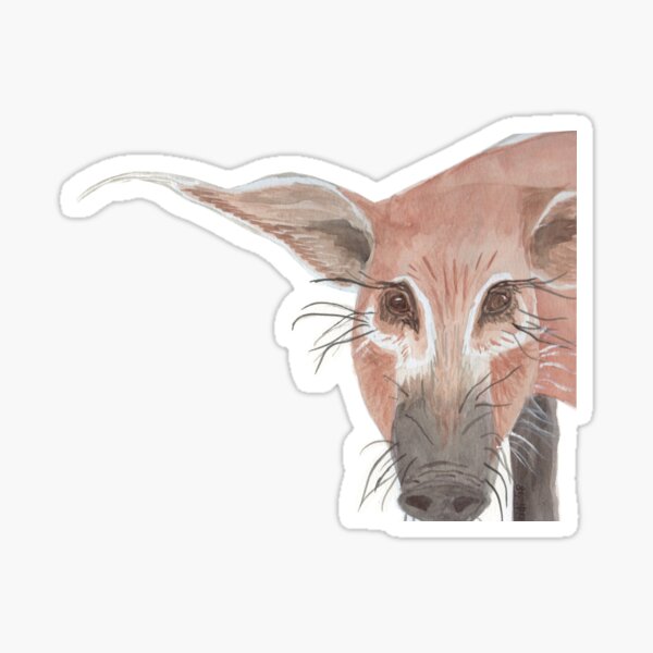 "All Ears" Sticker for Sale by gorillagal | Redbubble