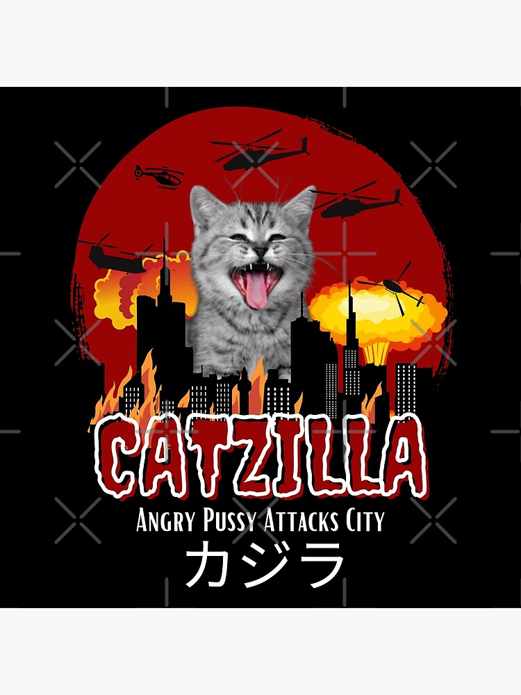 "Freche Katze, Eine sehr ungezogene Katze, Angry Cat Attacks, Angry Cat ...