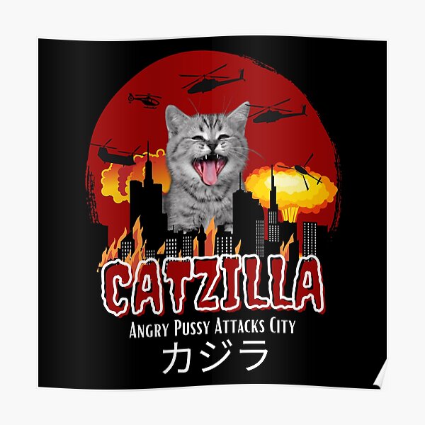 "Freche Katze, Eine sehr ungezogene Katze, Angry Cat Attacks, Angry Cat ...