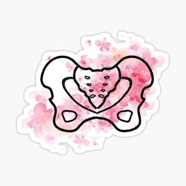 "Watercolor Pelvis" Sticker for Sale by AprilPT | Redbubble