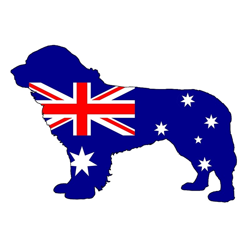"Australian Flag - Newfoundland Dog" by DelirusFurittus | Redbubble