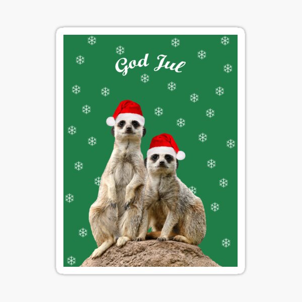 "God Jul Surikater" Sticker for Sale by quentinjlang | Redbubble