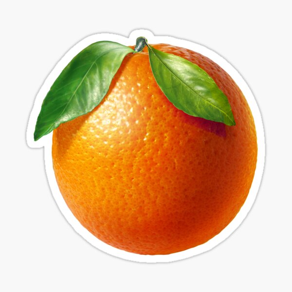 "ORANGE fruit" Sticker for Sale by thefutureisnow | Redbubble