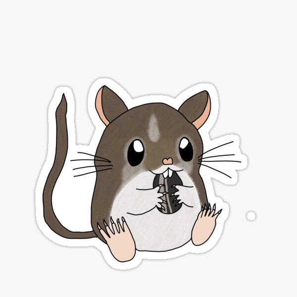 "Cute Hungry brown Gerbil" Sticker for Sale by Becky-Marie | Redbubble