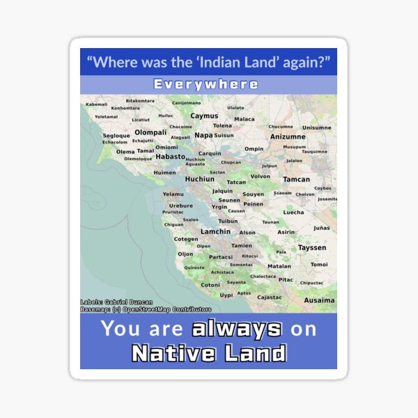 "You Are Always on Native Land" Sticker for Sale by ctrlaltwhat510 ...