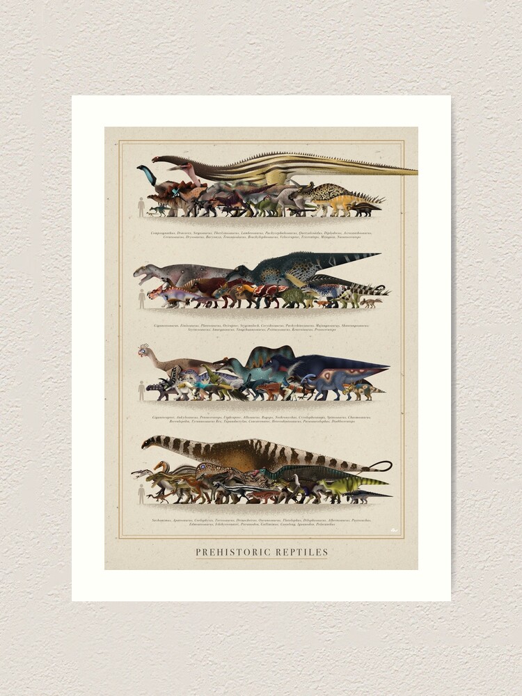 "Prehistoric Reptiles Size Chart" Art Print for Sale by Emily Higgs ...