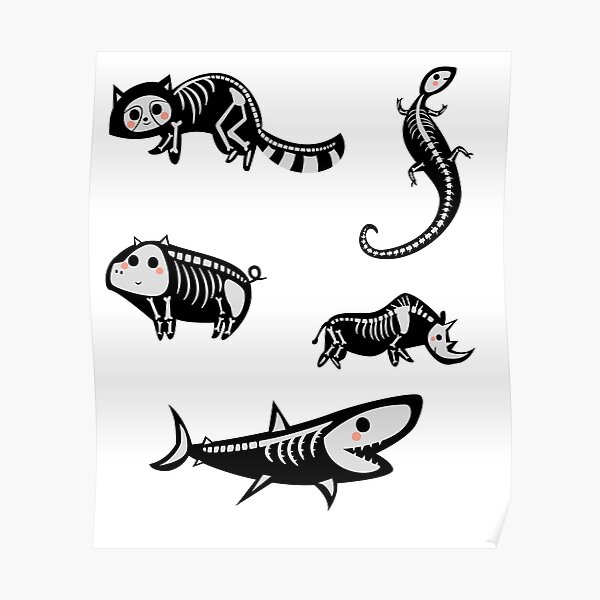 Póster «Radiografía de dibujos animados de animales - mapache - lagarto ...