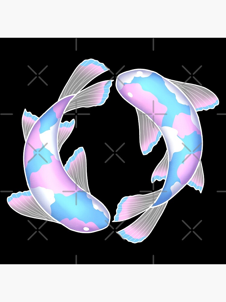 "Koi fish transgender colours " Poster for Sale by DoesArtAndStuff ...