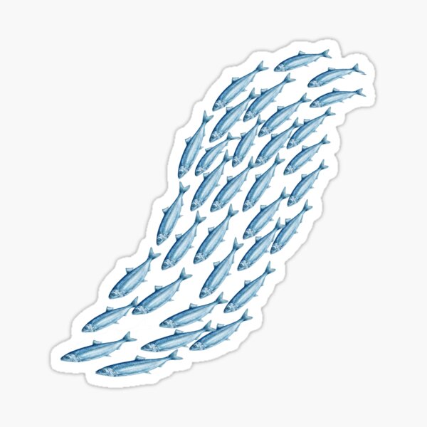 "SCHOOL OF BAIT FISH" Sticker for Sale by cgullart | Redbubble