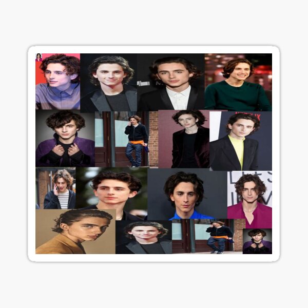 "Paul Atreides-dune" Sticker by diamondfindzzz | Redbubble