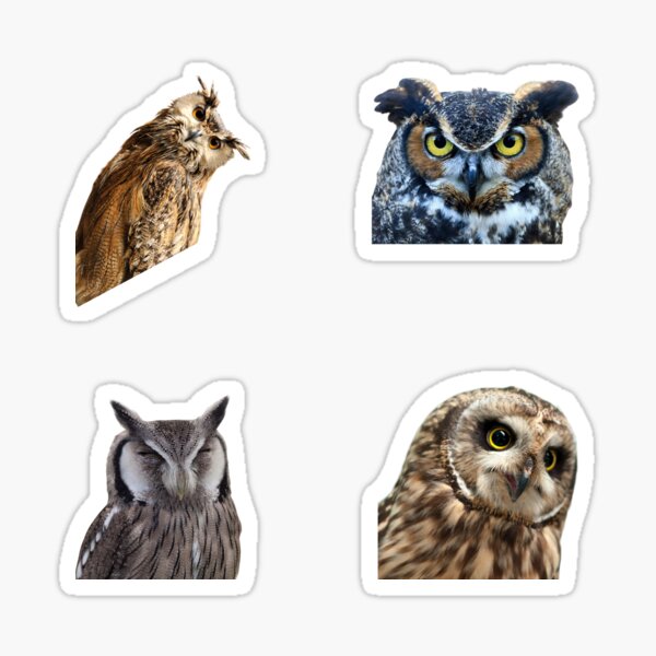 "2nd Half Owls Stickers Pack. Essential For Every Owl Lover. Suitable ...