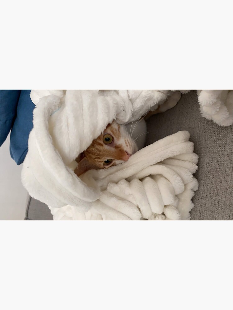 "Kane Cat" Sticker by ChapiShop | Redbubble