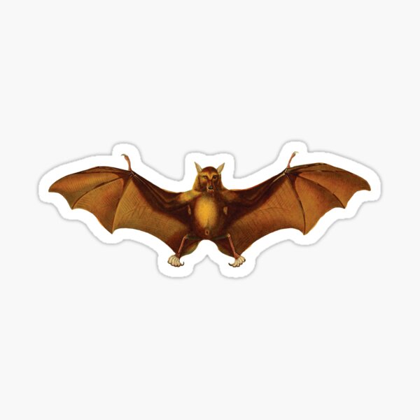 "Bat" Sticker for Sale by TheMikis | Redbubble