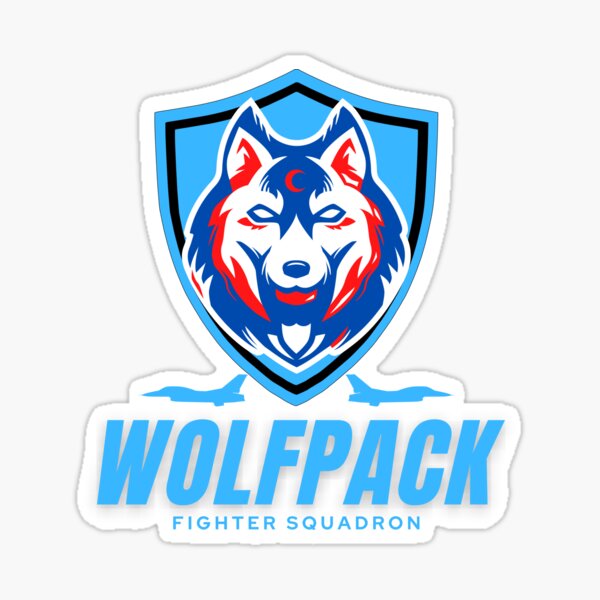 "Fighter Squadron" Sticker by CDM4801 | Redbubble