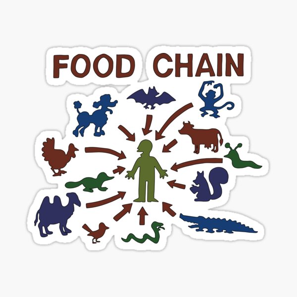 "Food chain" Sticker by 8vodkas | Redbubble