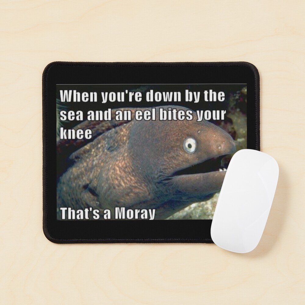 "Morey Eel That's Amore Meme" Sticker for Sale by Popular-Gifts | Redbubble