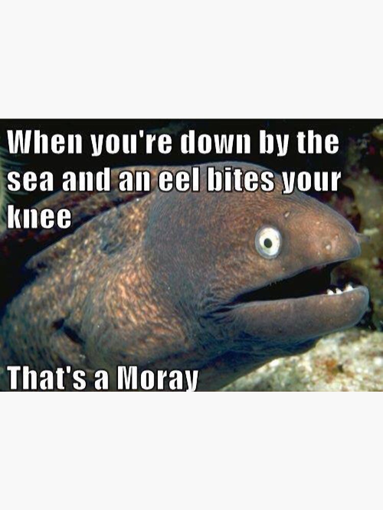 Moray Eel Meme
