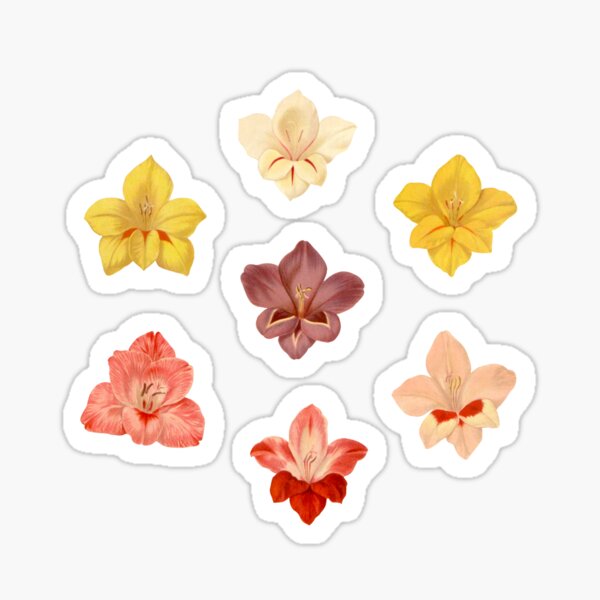 "FLORA | vintage flower pack" Sticker for Sale by BotanicStickers ...