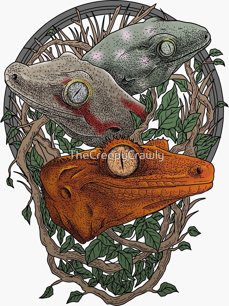 "New Caledonian Geckos, Crested, Gargoyle and Leachinaus Geckos ...