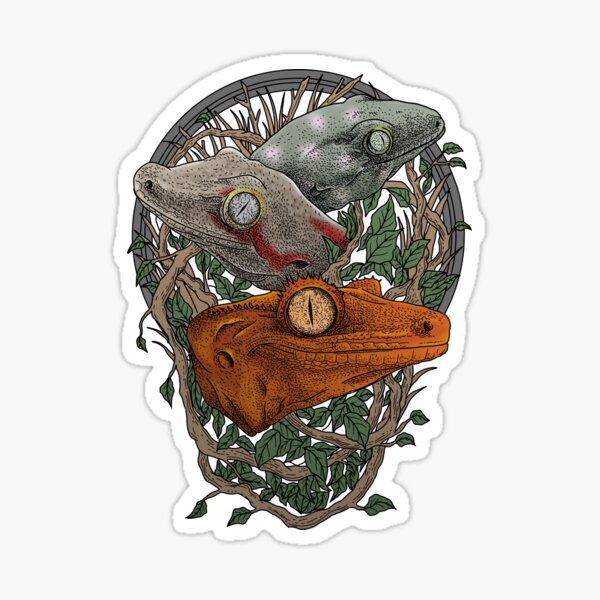 "New Caledonian Geckos, Crested, Gargoyle and Leachinaus Geckos ...