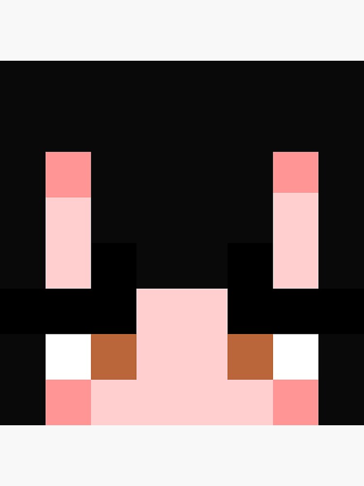 "Pmii Helluva SMP - Minecraft Avatar" Sticker for Sale by HakuMochi ...