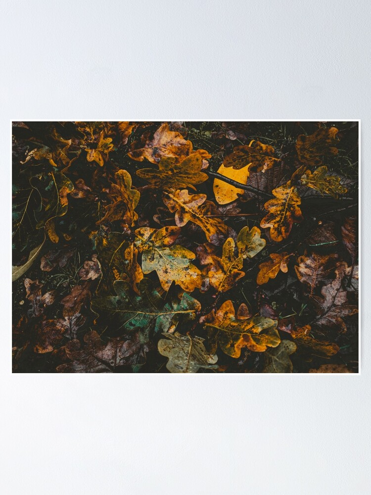 "Fallen leaves" Poster for Sale by FigureAndFold | Redbubble