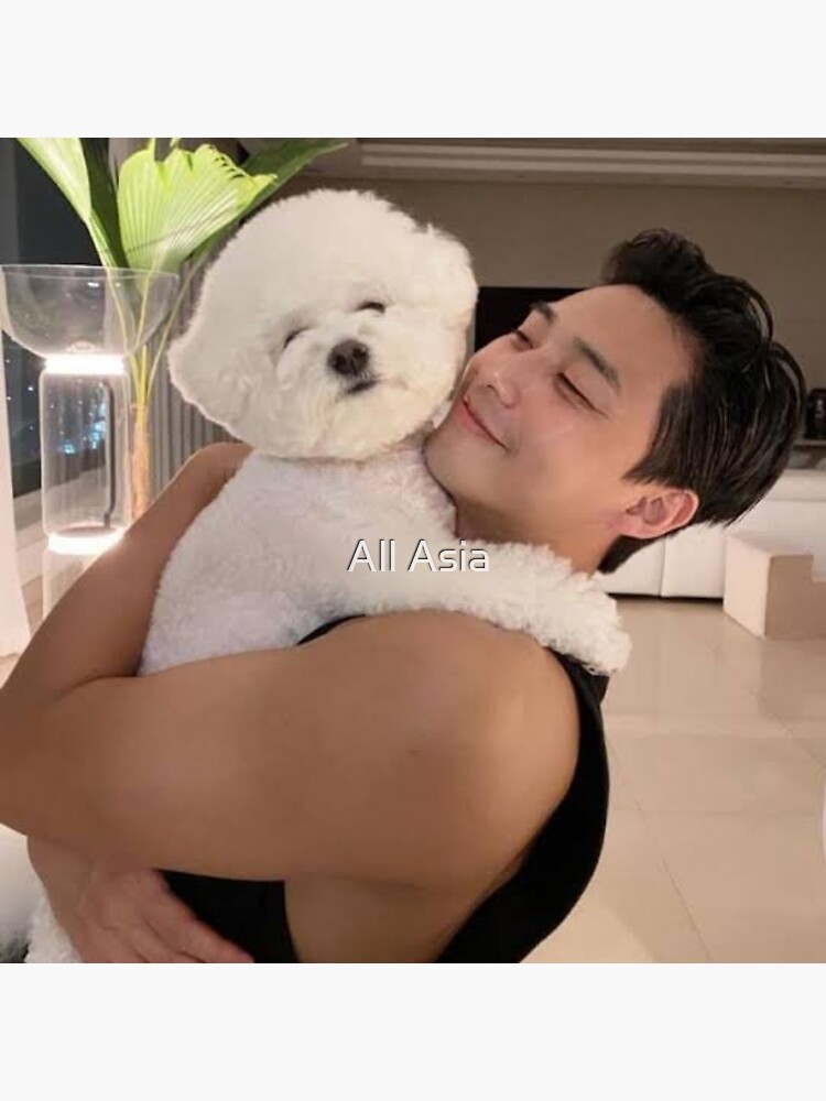 "Park Seo joon and his dog Instagram Photo " Poster by Flattyart ...