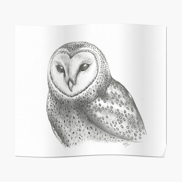 "Barn owl graphite pencil drawing" Poster by ScarletWild | Redbubble