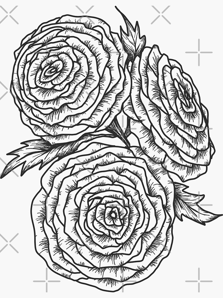"Ranunculus Flower Line Drawing" Sticker by kepedrick | Redbubble