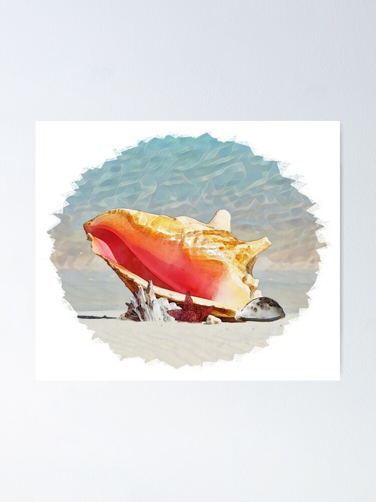 "Conch Shell " Poster for Sale by Heathermarie321 | Redbubble