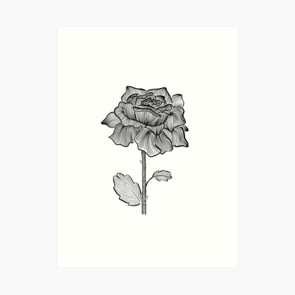 "Black and white Line-work Rose" Art Print for Sale by maluminous97 ...