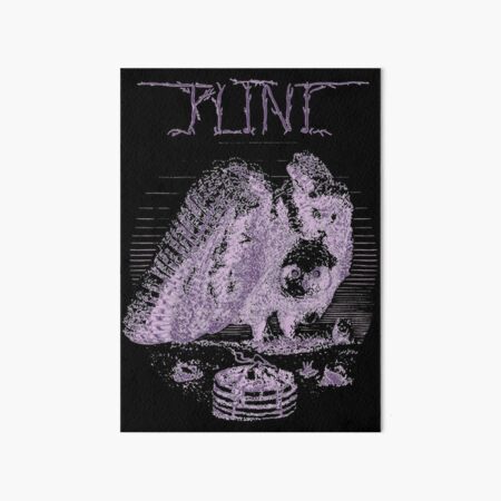 "Plini" Art Board Print by SkylerCloud | Redbubble
