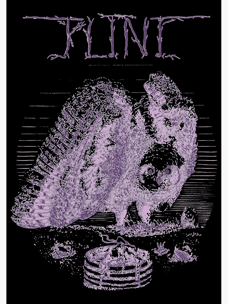 "Plini" Poster for Sale by SkylerCloud | Redbubble
