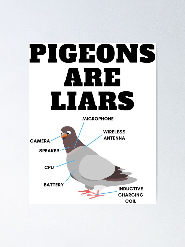 "Pigeons Are Liars, Pigeons Aren't Real" Poster for Sale by ...