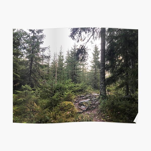 "Forest path" Poster for Sale by Nephelie | Redbubble