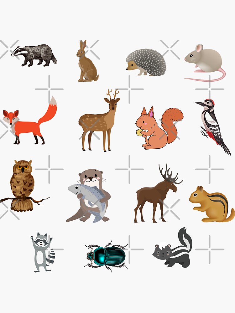 "Cute Woodland Animals Wall Art Sticker Pack for Animal Lovers ...