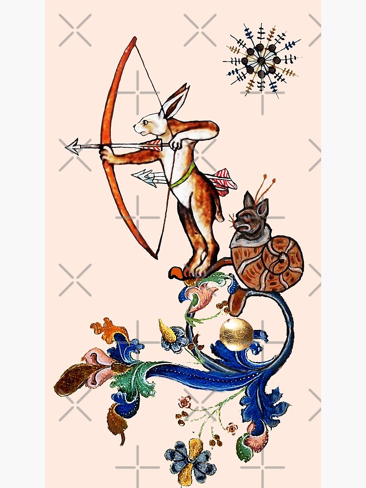 "WEIRD MEDIEVAL BESTIARY Archer Rabbit And Snail Cat" Poster for Sale ...