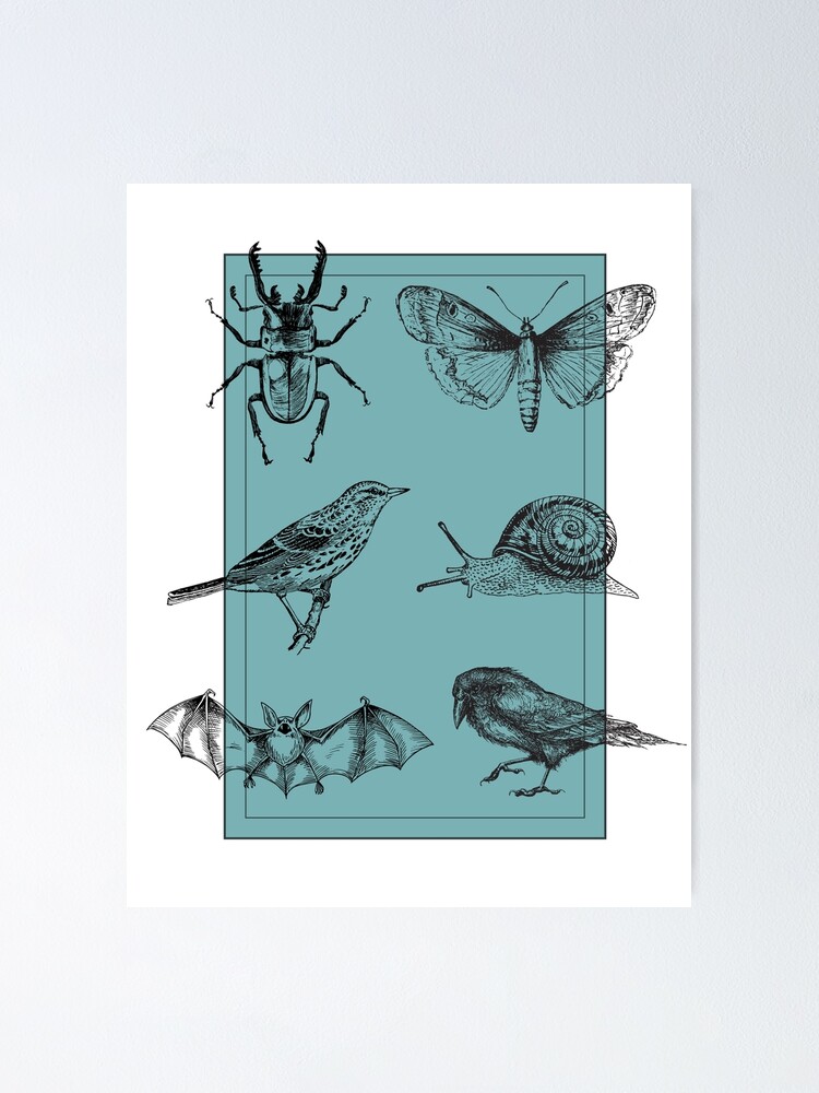 "Fauna" Poster for Sale by Anatelliu | Redbubble