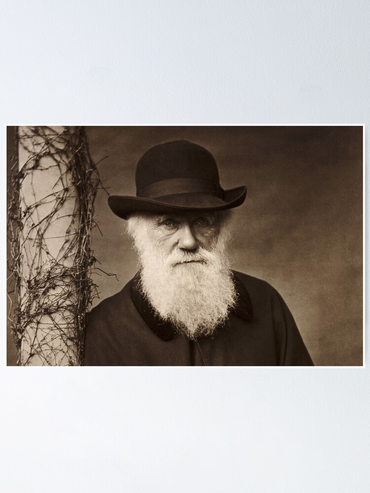 "Charles Darwin" Poster by suncokreti | Redbubble