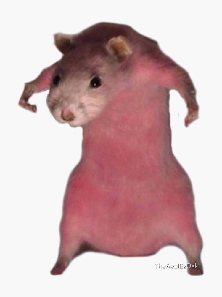 "Pink Rat" Sticker for Sale by TheRealEzOak | Redbubble