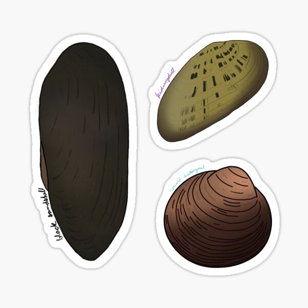 "Freshwater Mussel Pack 2.0" Sticker for Sale by willsiej | Redbubble