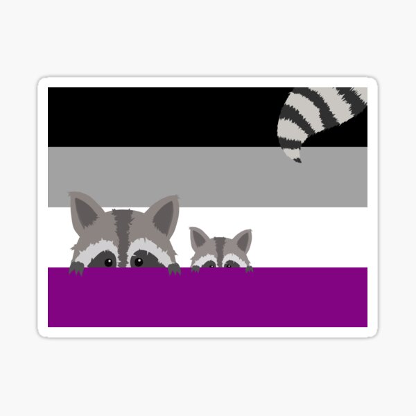 "raccoon ace flag" Sticker by theloneshrimp | Redbubble