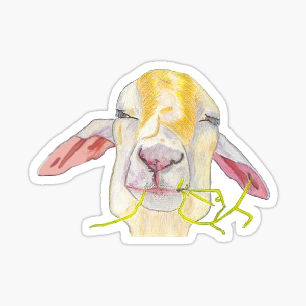 "Goat Chewing Straw Hay" Sticker for Sale by AliCatOriginals | Redbubble