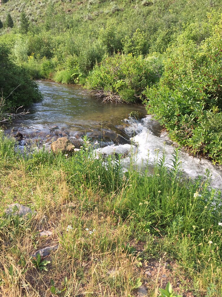 "Trickling Stream" Sticker for Sale by L20-design | Redbubble